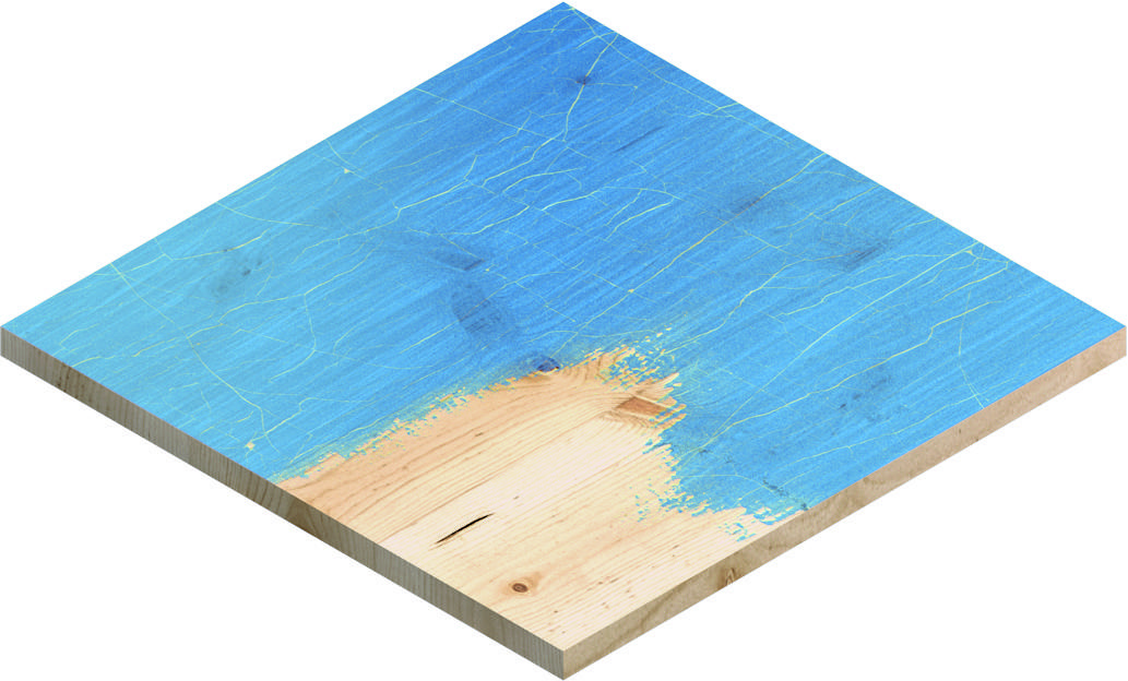 Bosch 2.608.900.807 EXPERT 5-Pack 125mm (5”) 120 Grit C470 Sandpaper ...