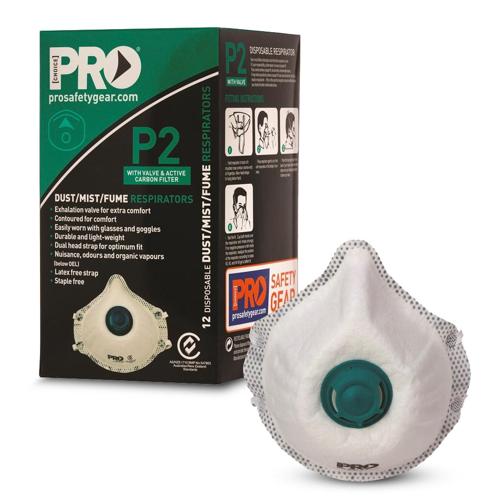 Pro Choice PC531 12-Pack P2 N95 Disposable Dust Mask Respirator with ...