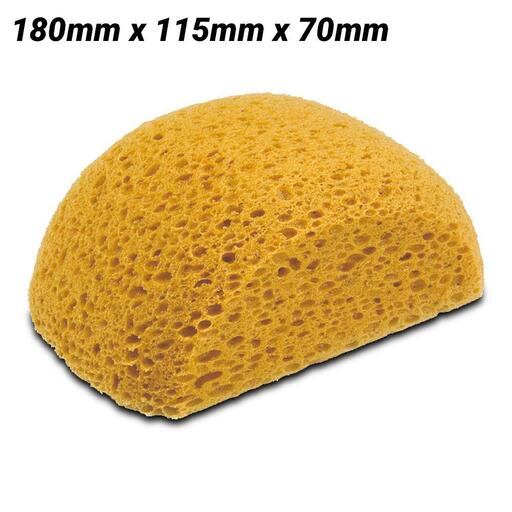 DTA DTATBS 180mm x 115mm x 70mm Turtle Back Sponge