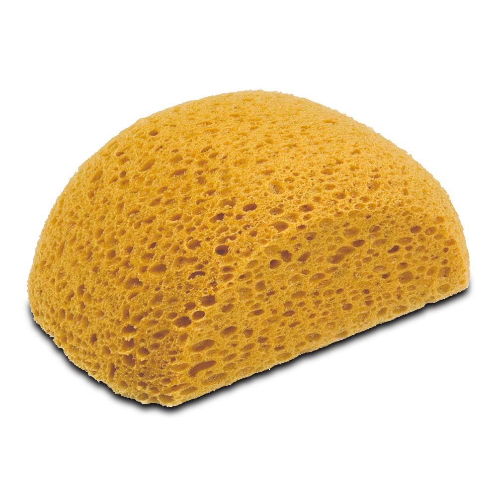 DTA DTATBS 180mm x 115mm x 70mm Turtle Back Sponge