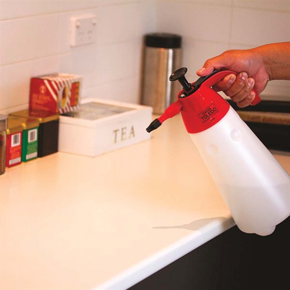 Toledo 305154 2L Handheld Pressure Pump Sprayer