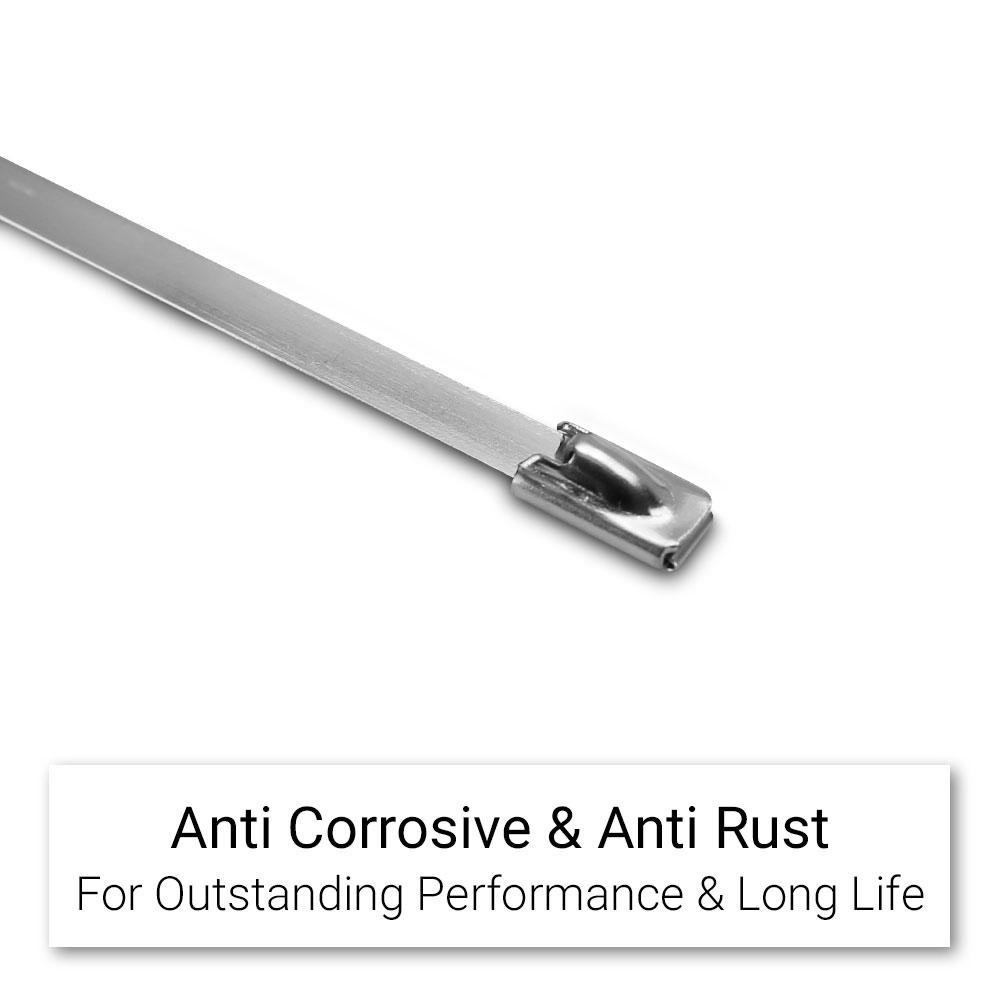 Fixed Fasteners FSSC150 10-Pack 4.6mm x 150mm Stainless Steel Cable Ties