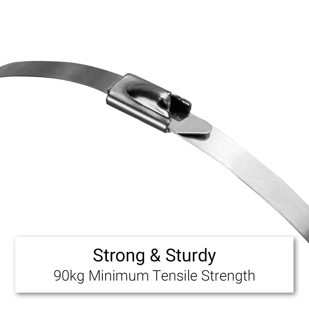 Fixed Fasteners FSSC150 10-Pack 4.6mm x 150mm Stainless Steel Cable Ties