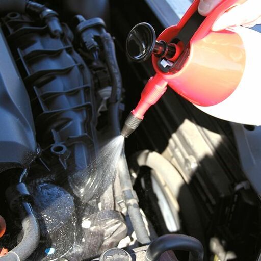 Toledo 305153 1 Litre Pump Up Pressure Sprayer