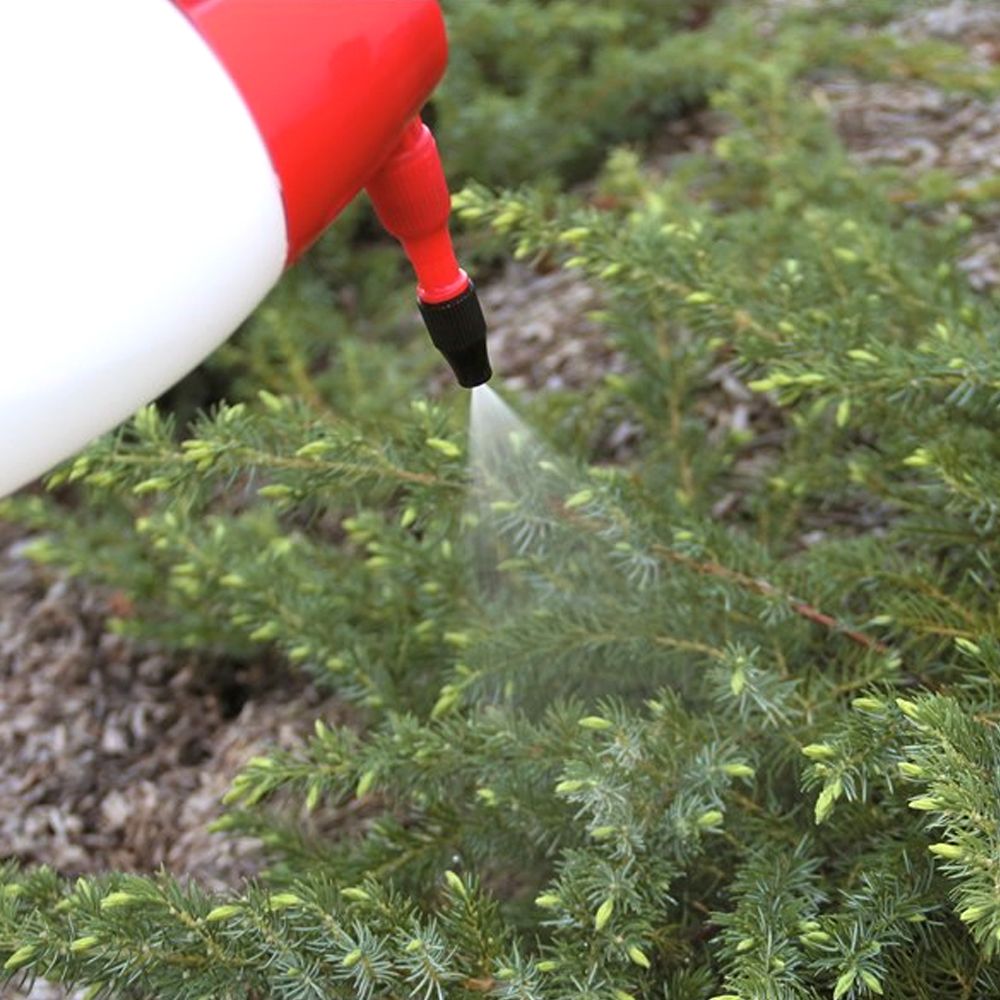 Toledo 305153 1 Litre Pump Up Pressure Sprayer